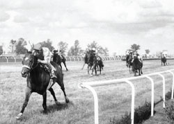Victorian Era | Canadian Horse Racing Hall of Fame