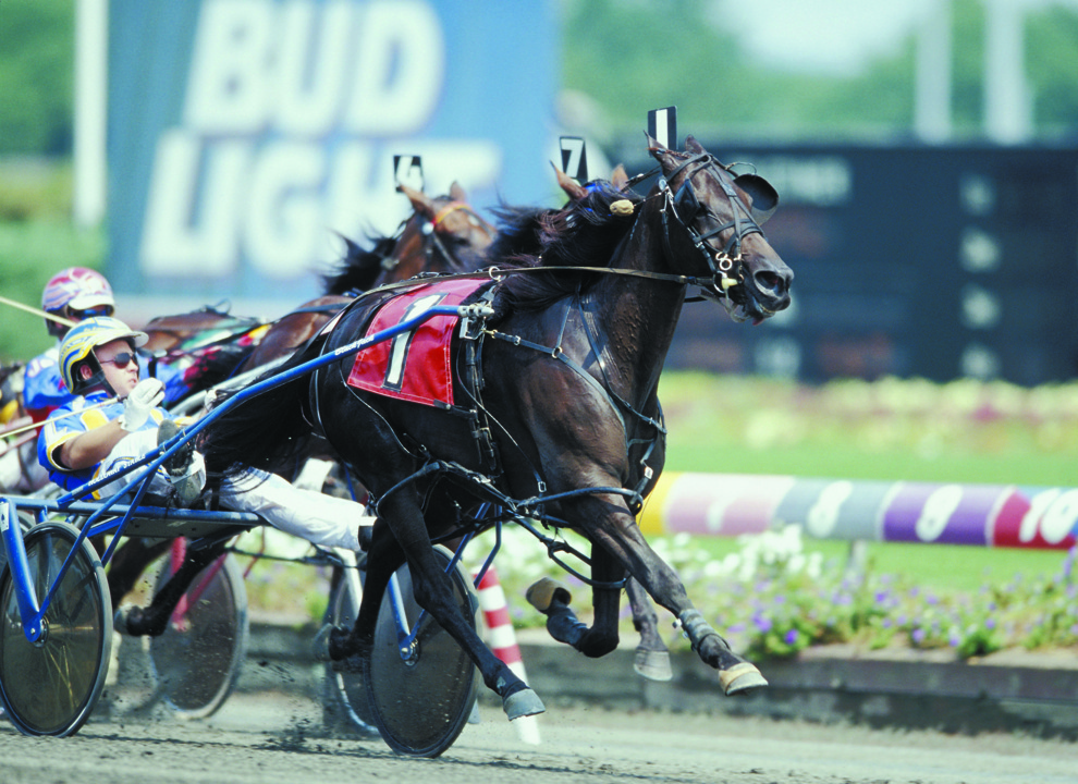 EternalCamnationDave Landry Photography | Canadian Horse Racing Hall of ...