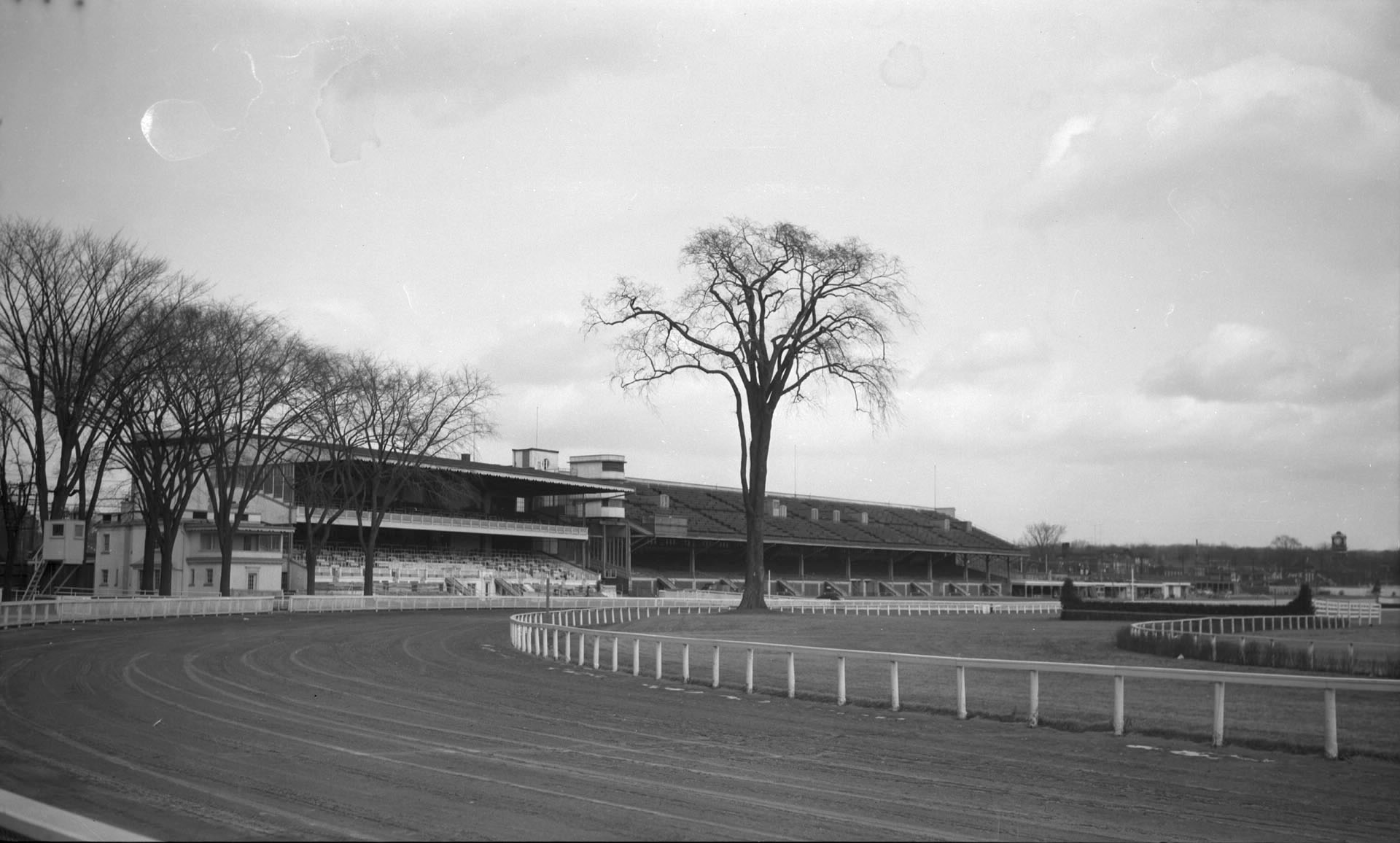 Greenwood_Racetrack_1953_James_Victor_Salmon_1911-1958 | Canadian Horse ...