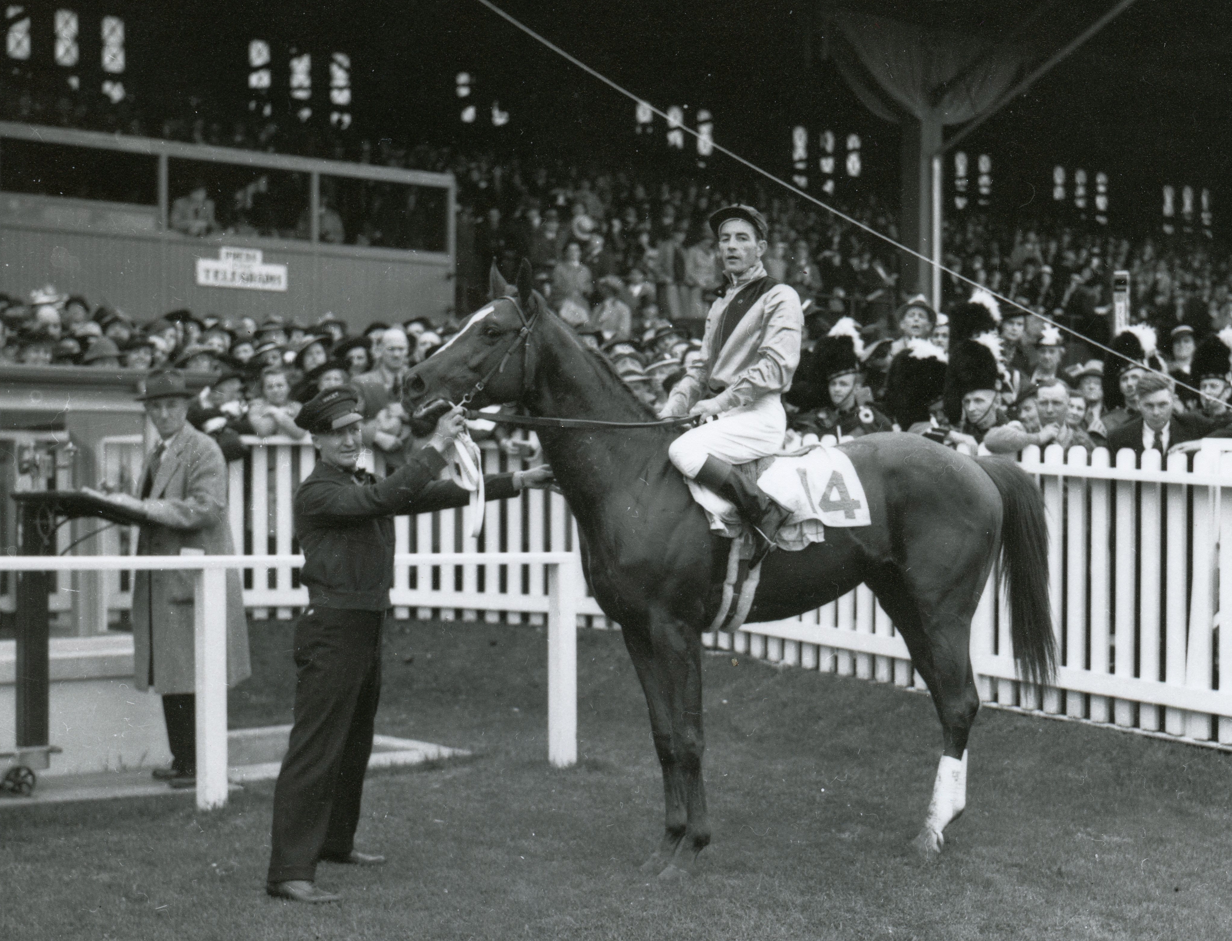 Archworth | Canadian Horse Racing Hall of Fame