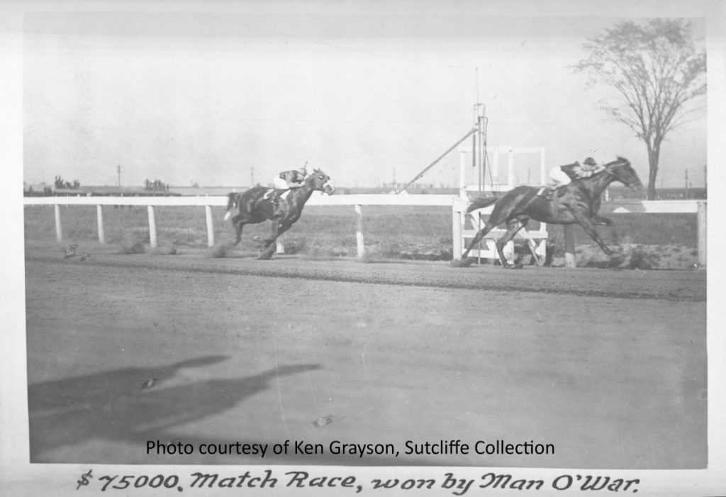 Man o’ War | Canadian Horse Racing Hall of Fame