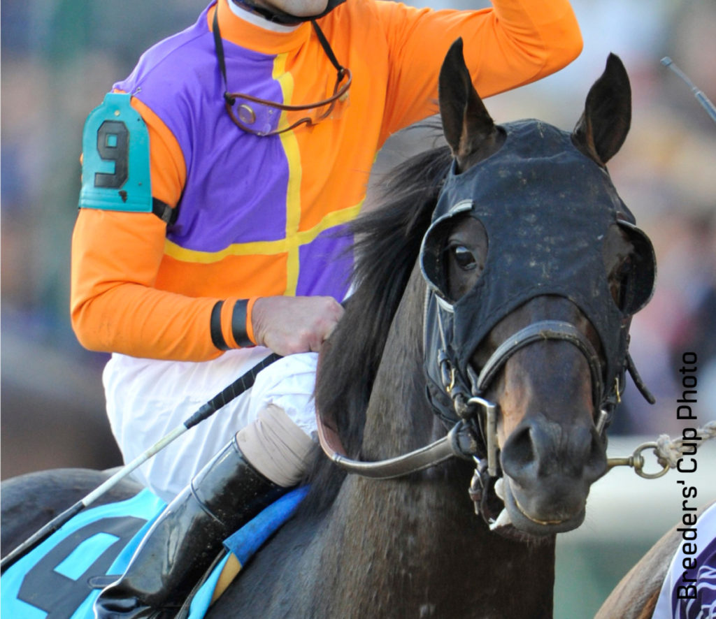 Jockey Eurico Rosa Da Silva, and Veteran Thoroughbred Horse Alydeed as well as Standardbred ...
