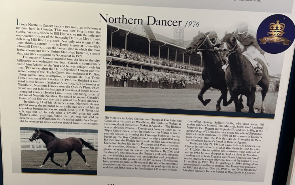 Jim Bannon – Northern Dancer Travelogue – Part 2 – The Horse | Canadian ...
