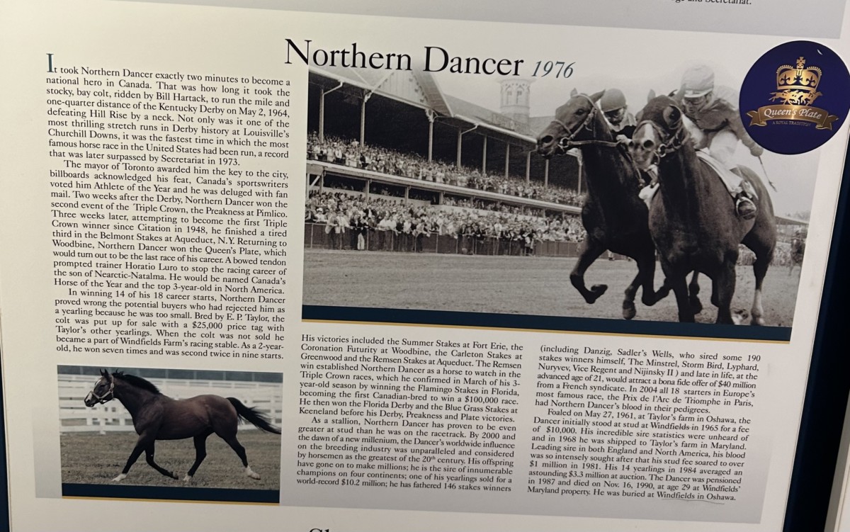 B15. Northern Dancer Canadian Horse Racing Hall of Fame Kentucky Derby ...