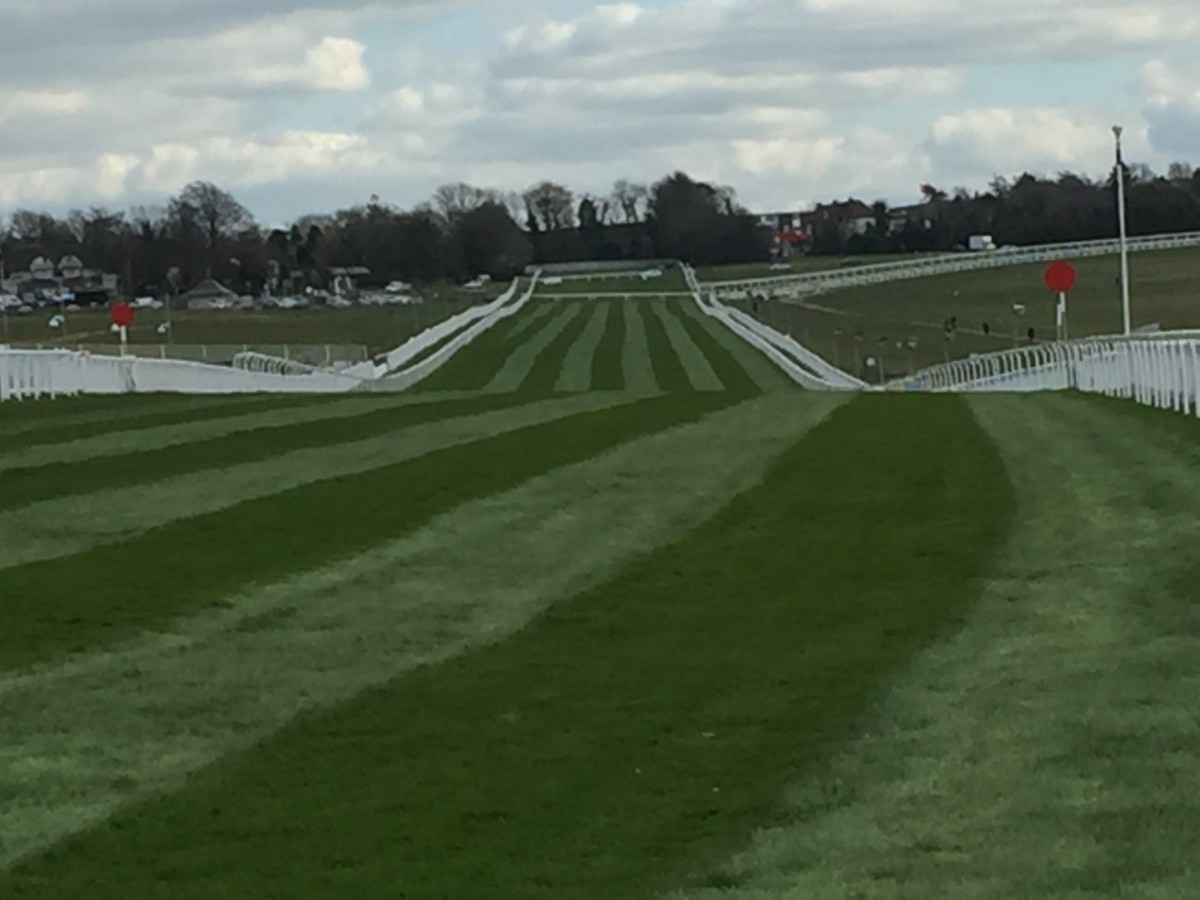 Jim Bannon Travelogue – Northern Dancer – Part III – The Breeding Shed ...